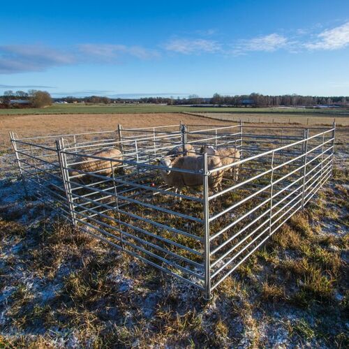 Sheep gates | Simple to buy online | Kellfri