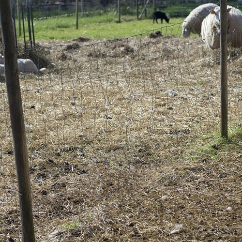 Sheep fencing & Sheep netting | Simple to buy online | Kellfri
